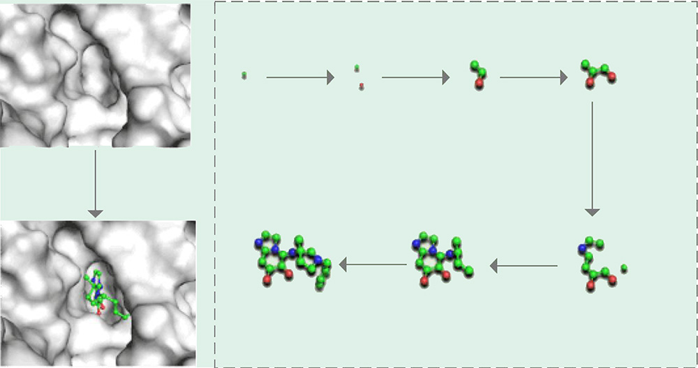 DrugFlow - 人工智能辅助药物设计平台